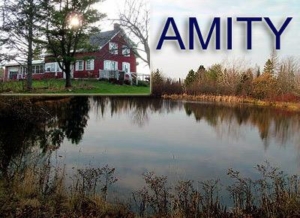Amity - Mooers Realty